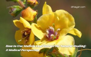 How to Use Mullein Leaf Extract for Natural Healing: A Medical ...